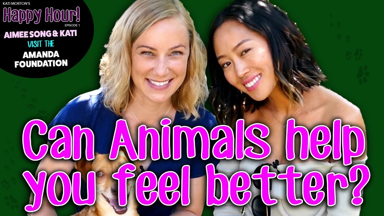 Can Animals Help You Feel Better? Aimee Song & Kati Morton | Happy Hour ...