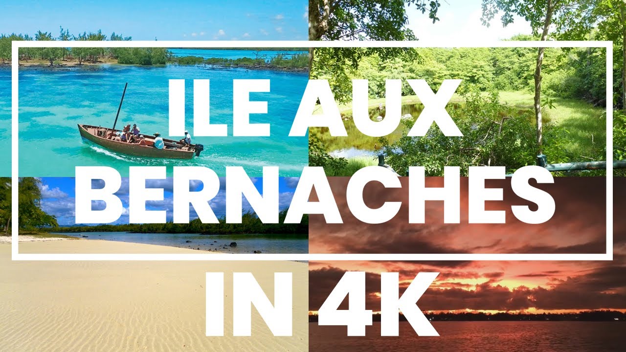 Ile Aux Bernaches, Mauritius in 4K - YouTube