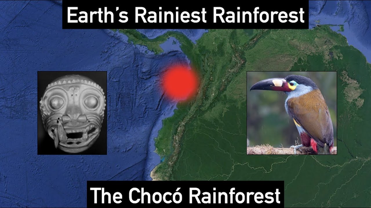 Earth's Rainiest Rainforest: The Chocó Rainforest - YouTube