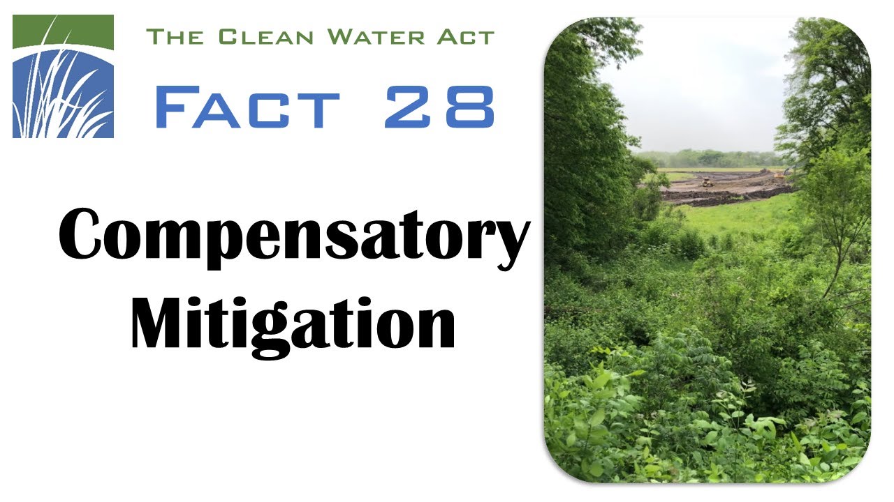 CWA Fact 28: Compensatory Mitigation - YouTube