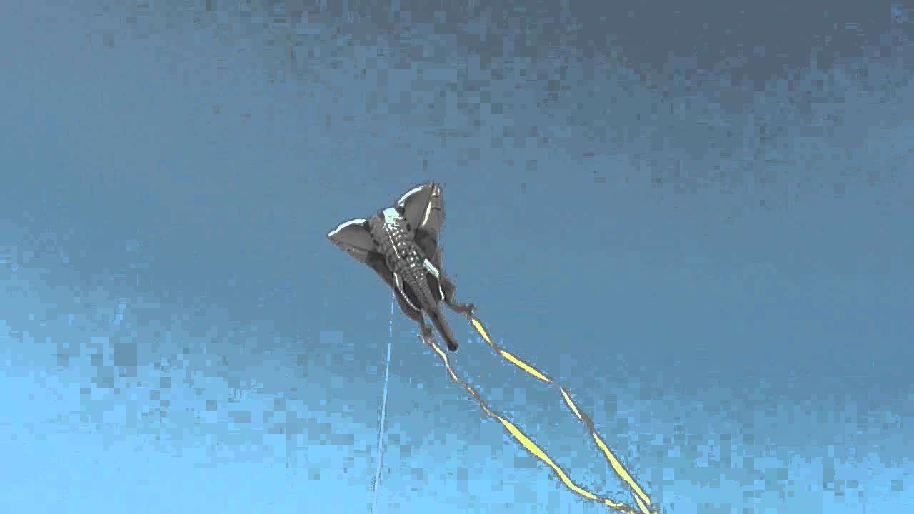 Elephant Kite - YouTube