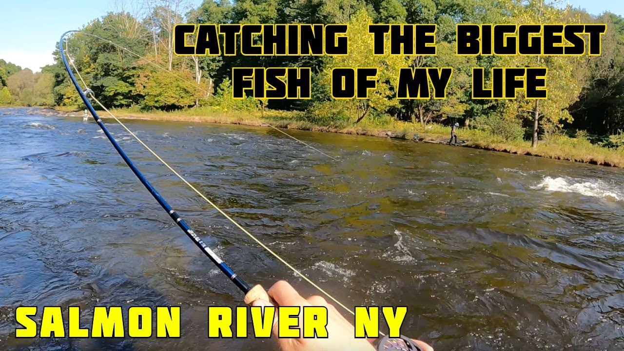 Fly Fishing for the Strongest Fish Of My Life! Salmon Fishing the ...
