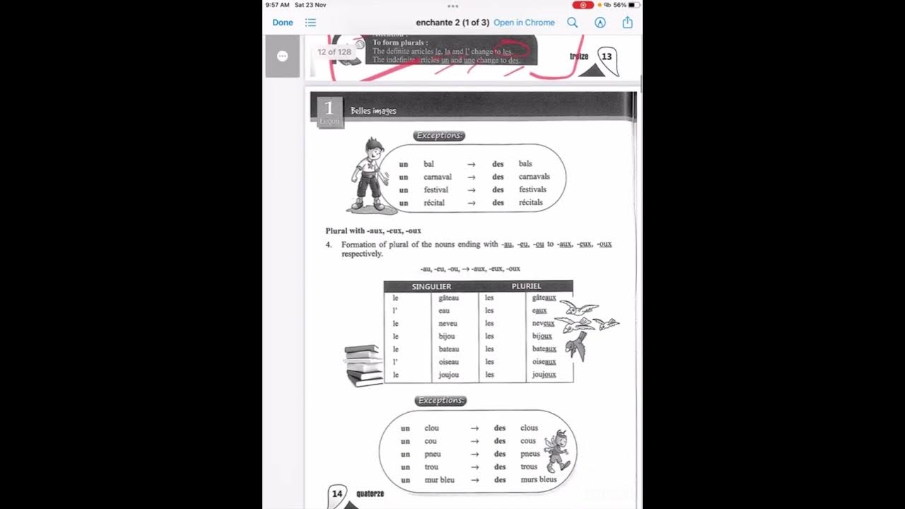 CBSE French Class 7 Ch1 Part 2 Le pluriel des noms - YouTube