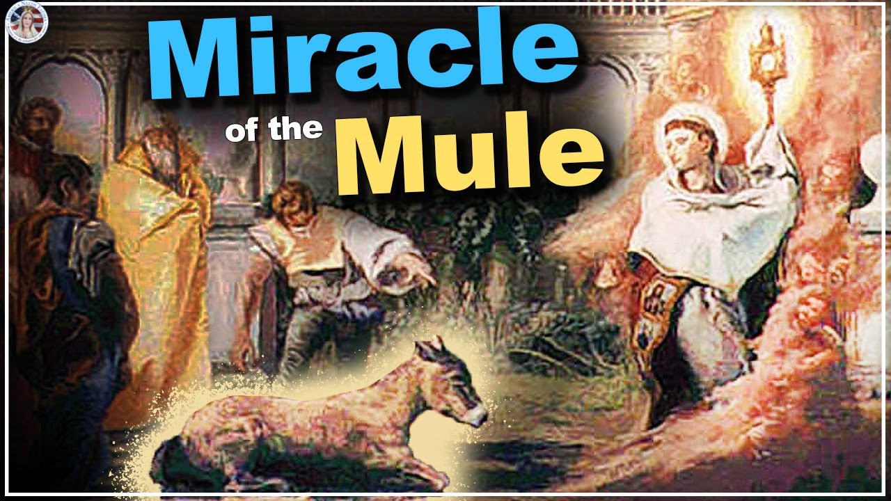 Miracle: A Mule Bows to the Eucharist - YouTube