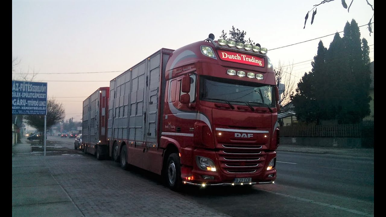 Dutch Trading | DAF XF 510 Euro6 | Livestock Truck - YouTube