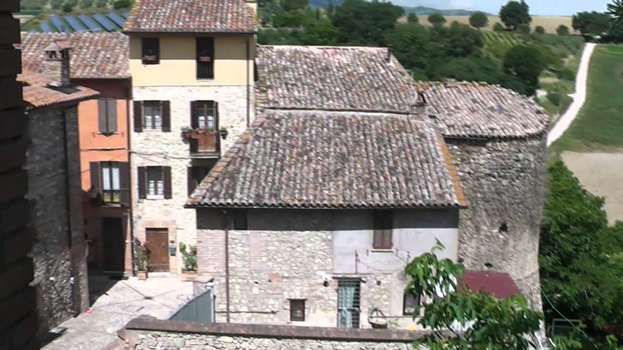 Welcome to Morcella - YouTube