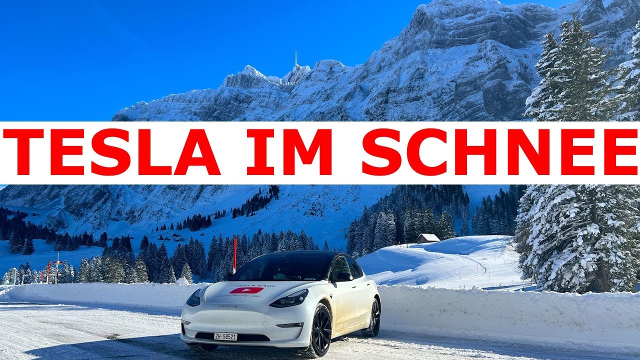 Schne Model 3 Facelift Fotosnull