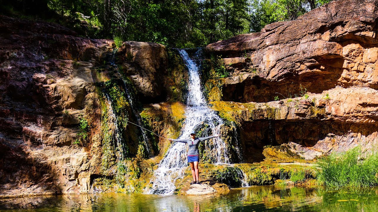 Fly Fishing Arizona Small Stream for WILD RAINBOW TROUT! (ALL DRY FLIES ...
