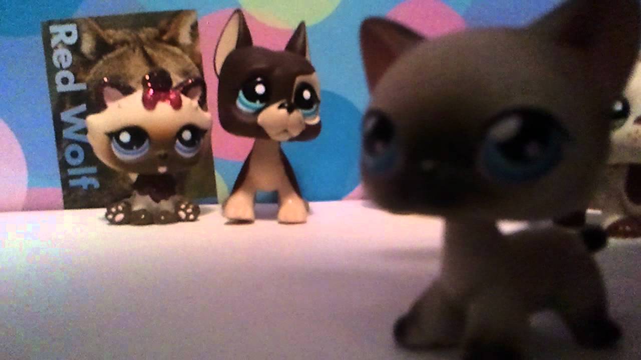 Lps updates for video day - YouTube