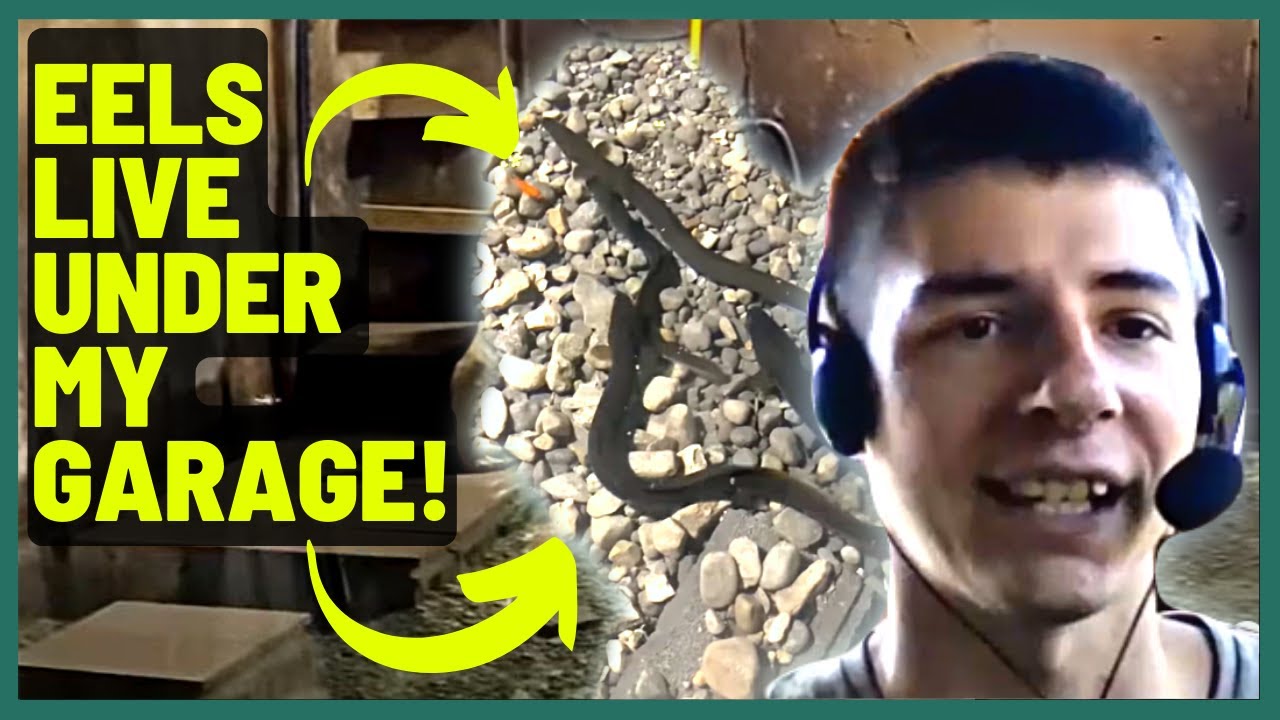 Building an Underground American EEL PIT | Nick Tobler - YouTube