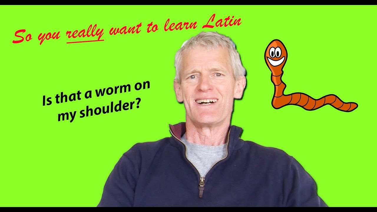 Latin 3 Lesson 19 More On Final Clauses So You Really Want To Learn latin-3-lesson-19-more-on-final-clauses-so-you-really-want-to-learn
