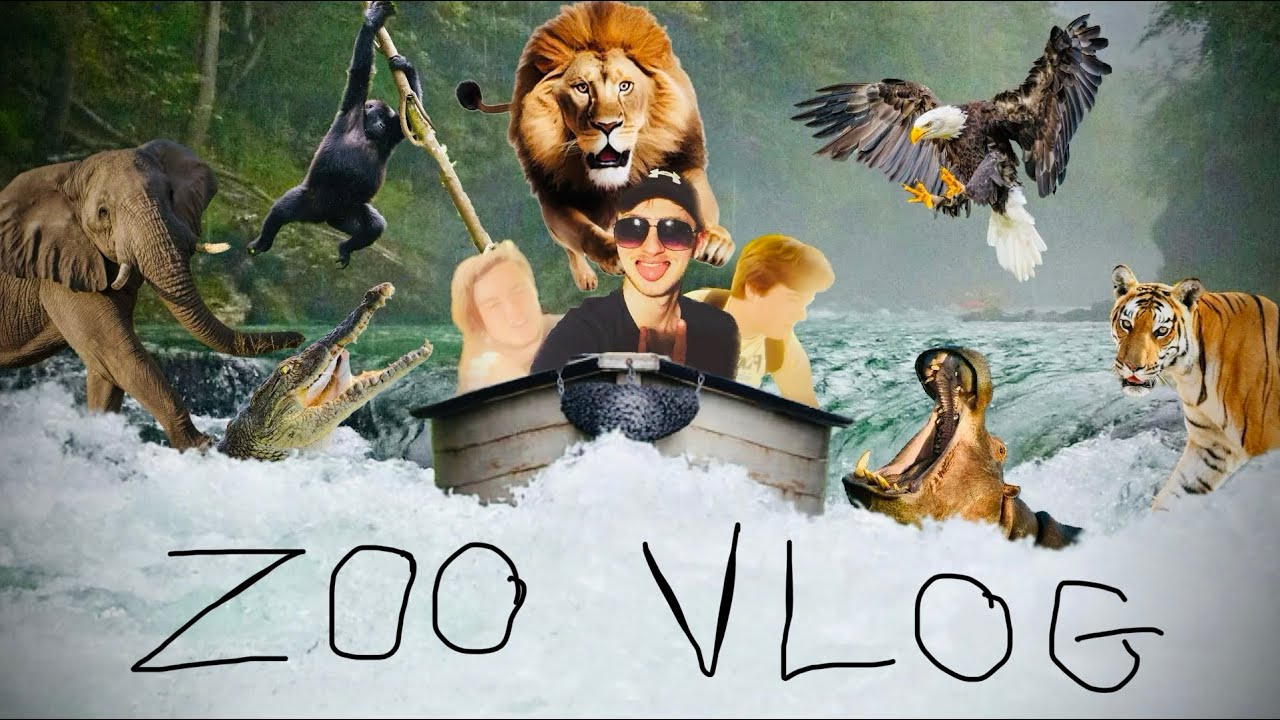I Went To The Zoo With My Mates - YouTube