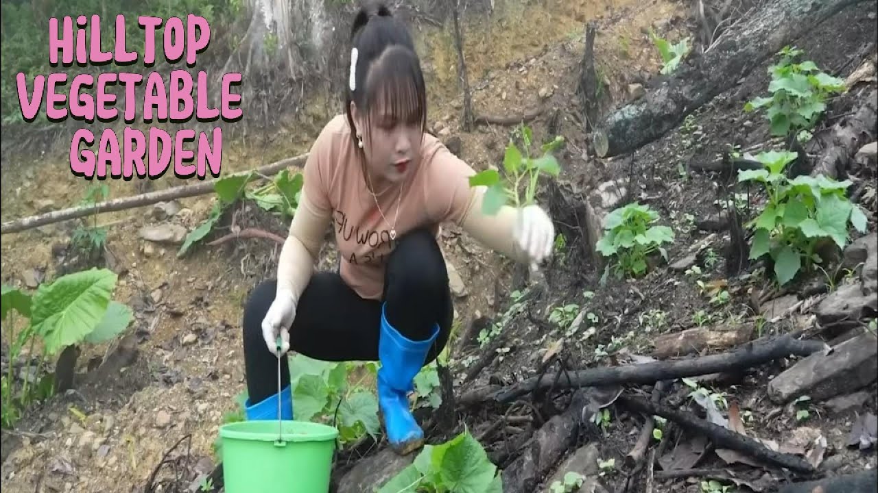 Caring for a Mountain Vegetable Garden | Living Close to Nature - YouTube