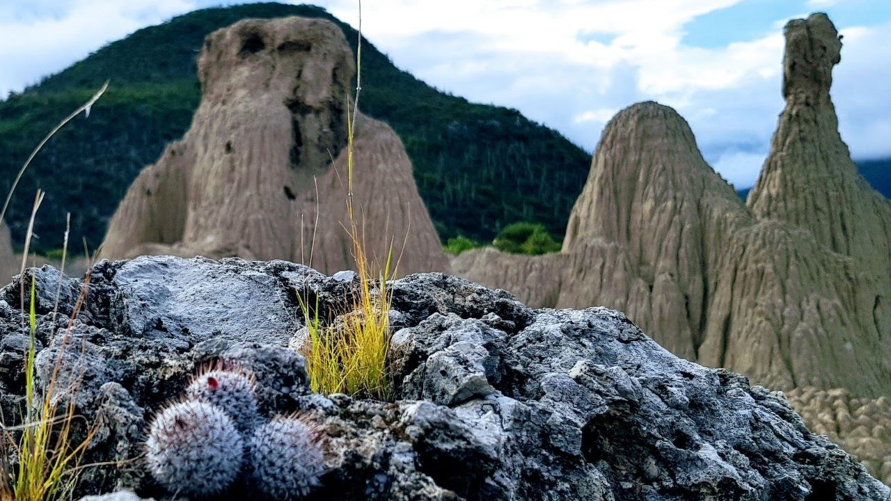 Zapotitlán Salinas, Puebla. Reserva de la biosfera Tehuacán Cuicatlán ...
