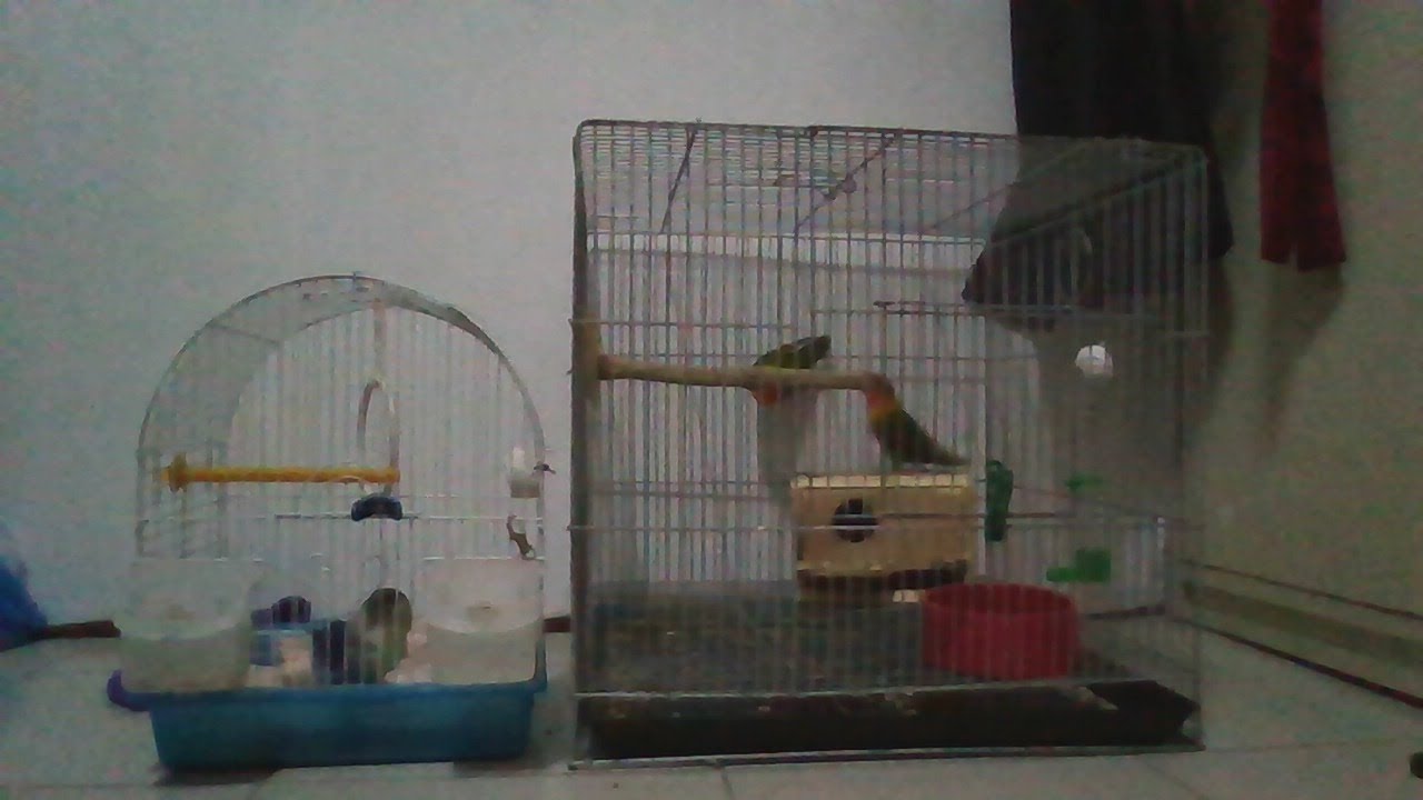 Kiro and Friends - YouTube