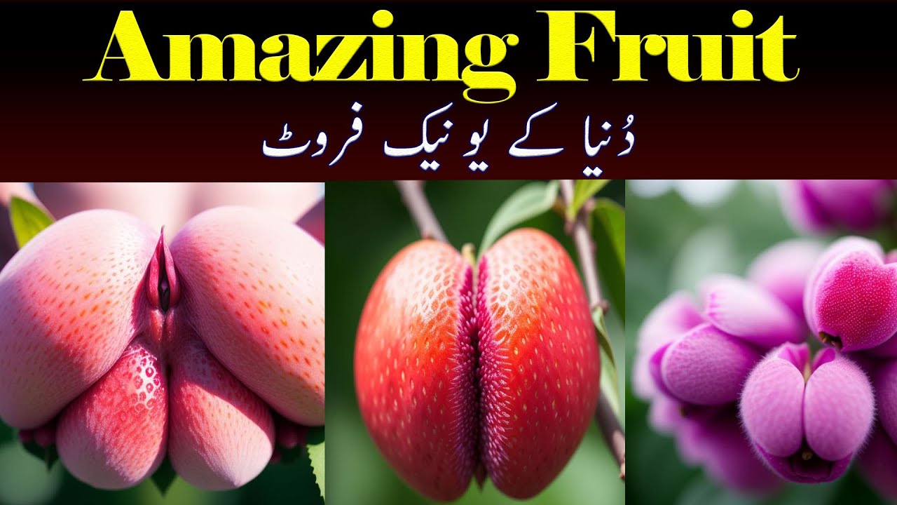 Amazing fruit in the world|| part 3 - YouTube