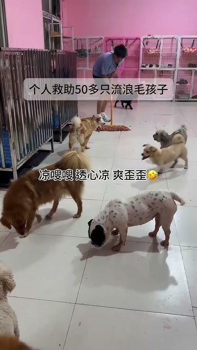 人生没有如果,时间不会回头,愿我们都是被时光善待的人,满怀暖意,静度一生🙏 Youtube