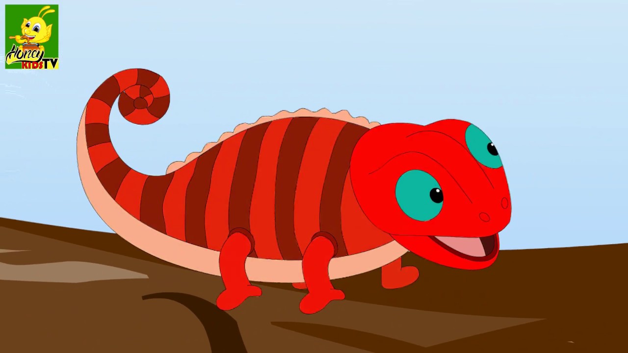Learn colors with Chameleon for kids | Funny Chameleon Colors - YouTube