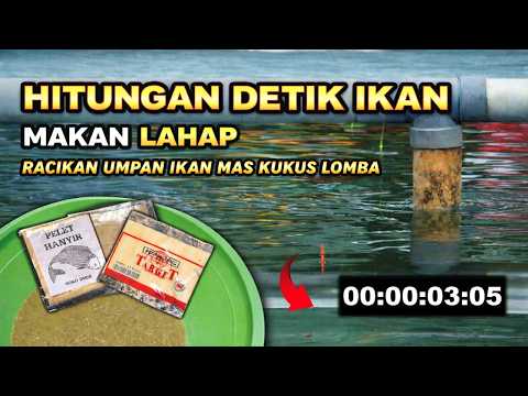 HITUNGAN DETIK IKAN MAKAN LAHAP RACIKAN INI ❗ KEJAMNYA RACIKAN UMPAN IKAN MAS PUTIH KUKUS ❗❗