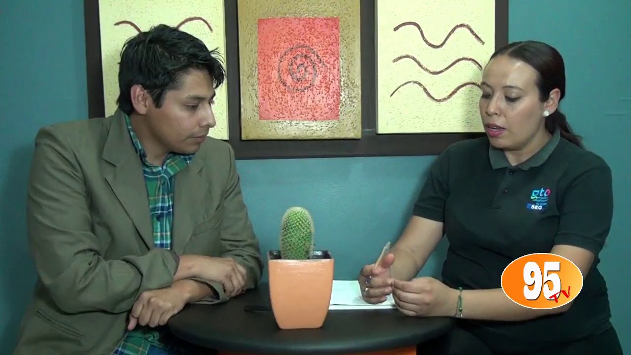 CANAL 95 TV. ENTREVISTA CON DIR. DE CINE ROBERTO MARES. - YouTube