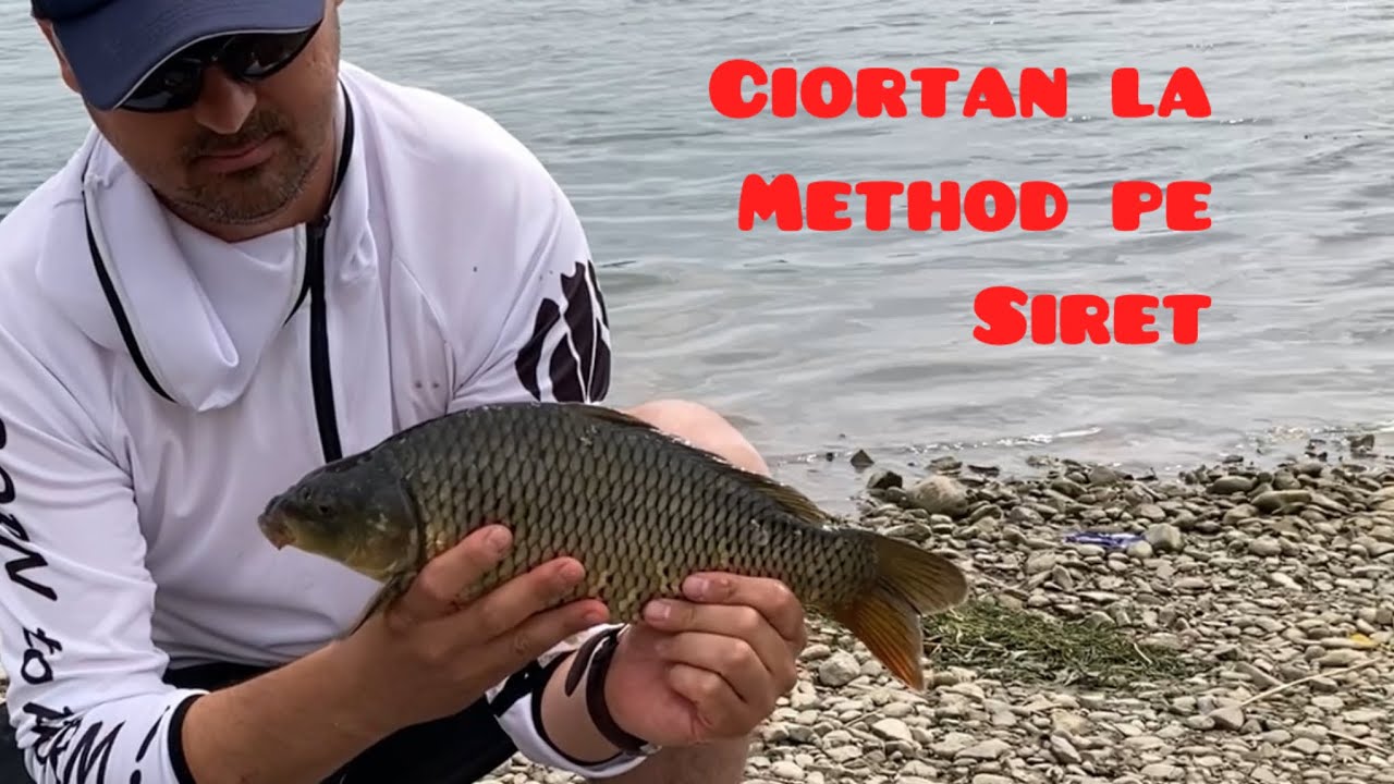 Pescuit la Method pe raul Siret,2024 @vipvrancea - YouTube