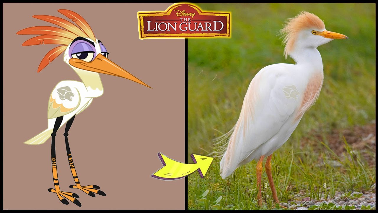 The Lion Guard Characters In Real Life And Other Favorites! | Kion ...