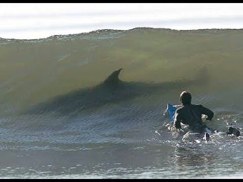 If You Weren’t Already Scared Of The Ocean, You Will Be After Seeing ...