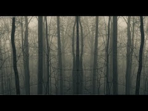 Krimi Hörspiel Gespensterjagd - Rodney David Wingfield - YouTube