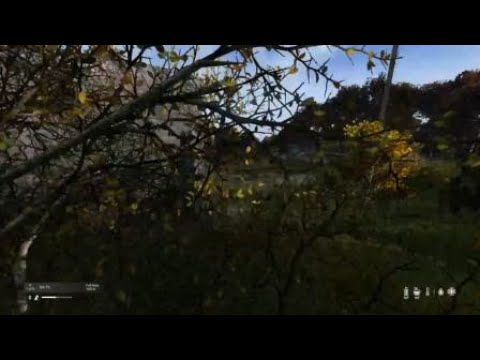 DayZ_MB Kamensk - YouTube