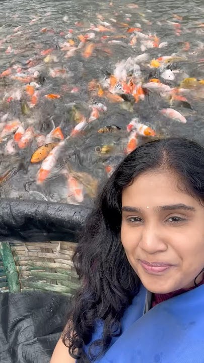 KPM Fish Farm - Vagamon - unique farm - KPM TOURIST VILLAGE - places to ...