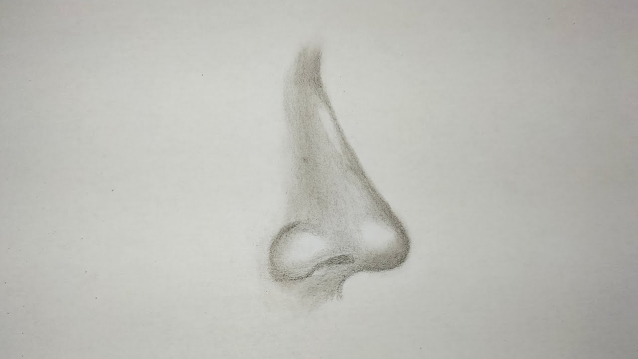 How to draw a nose | draw a nose like a pro in 3 minutes | nose ...