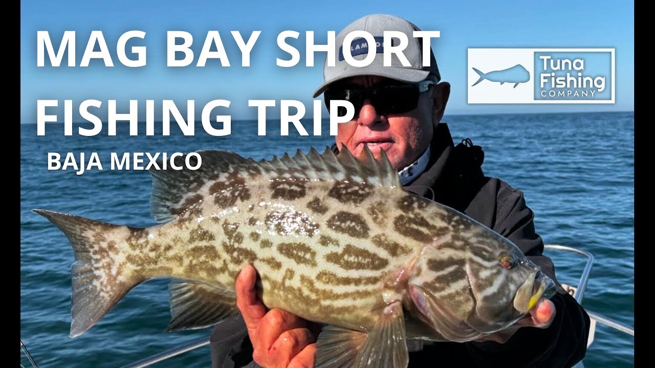 Grupper Fishing in Mag Bay, Baja Mexico #fishing #snapper #magbay #fish ...