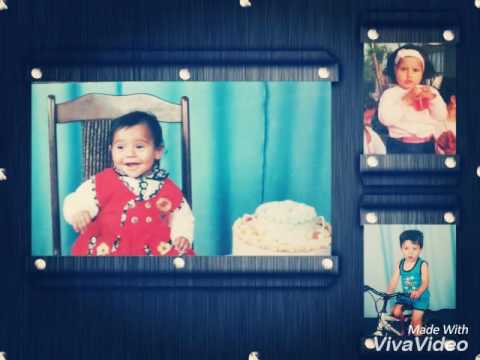 Novo selo 2016 benim canım alem