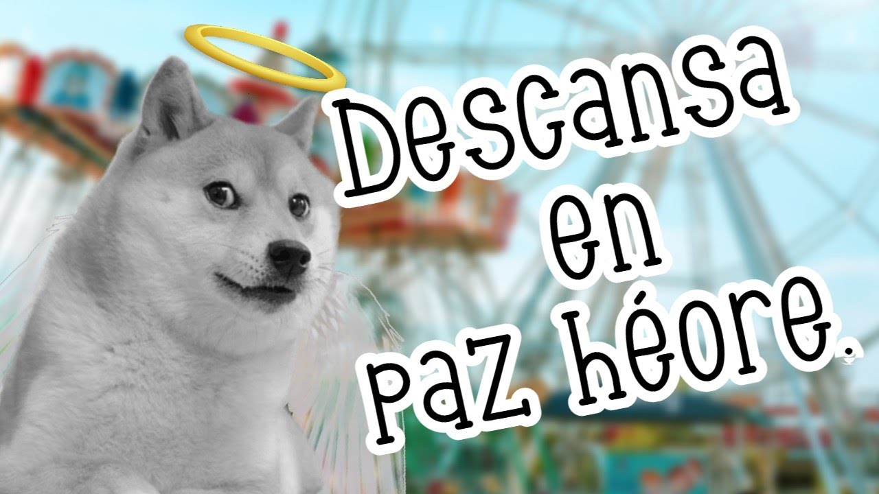 Descansa en paz héroe.🕊 | Recopilación de Void Memes Vol. 2 | TheDogito ...