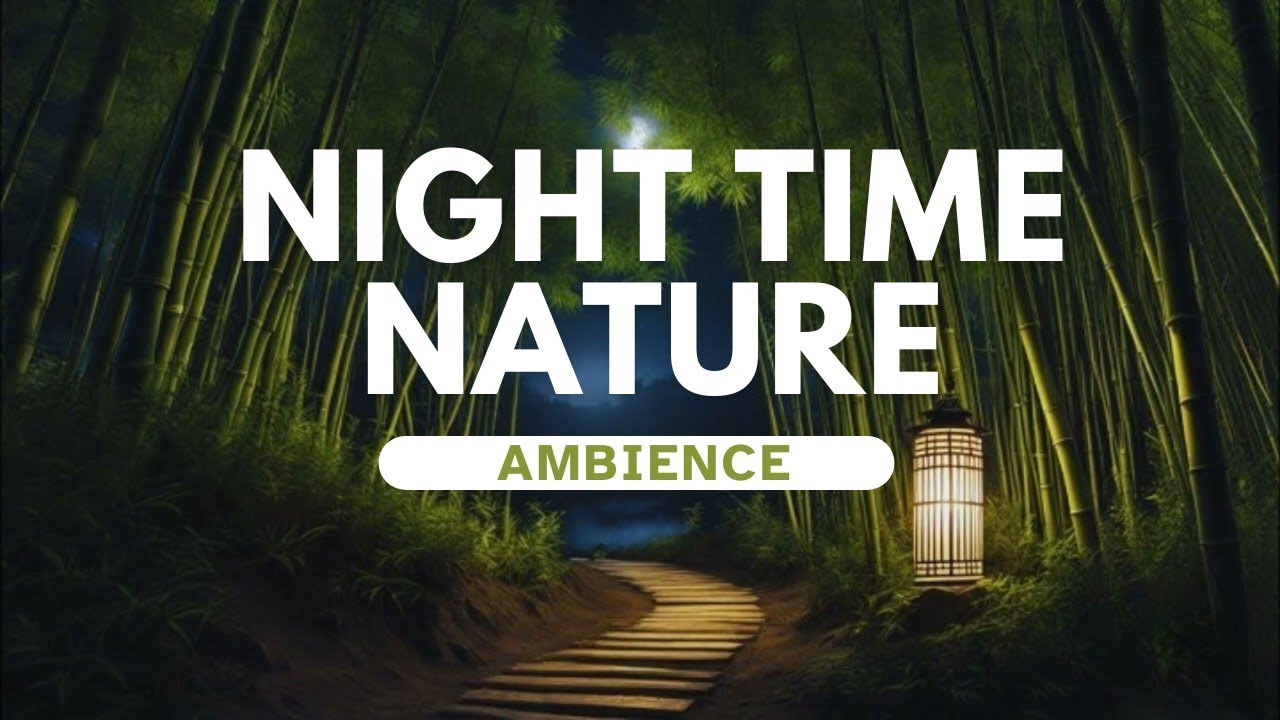 Night Nature Sounds for Sleeping 😴 Night time Ambience Sound Effect ...