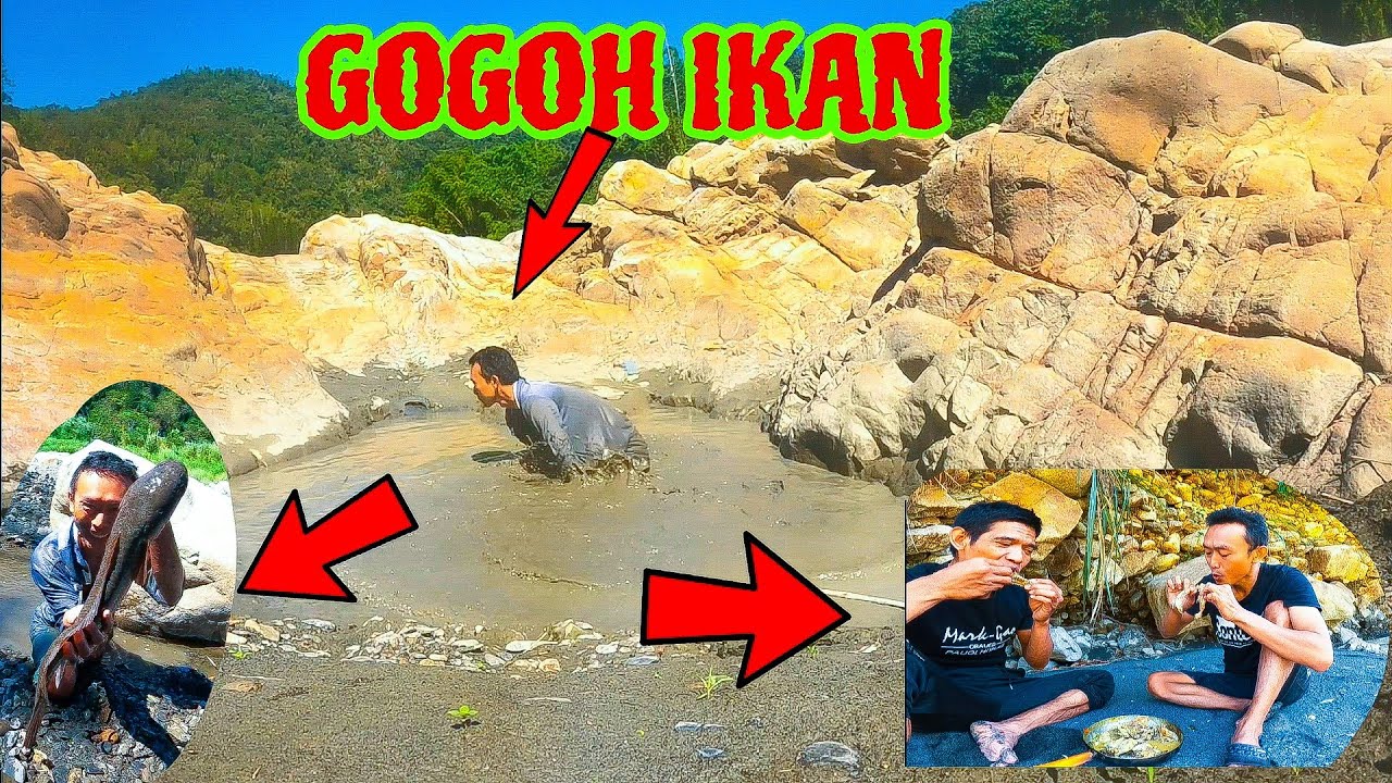 GOGOH IKAN DAPAT MACAM macam IKAN @Kokokbelukireng #gogoh - YouTube