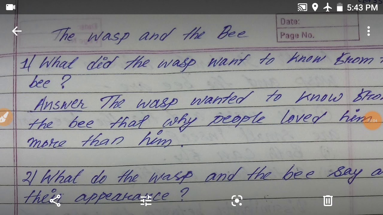The wasp and the bee questions answers. - YouTube
