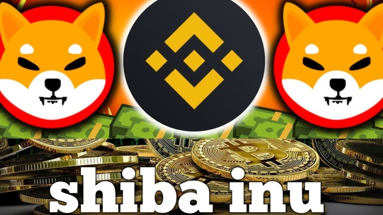 SHIBA REACH $1 THIS YEAR!!! SHIBA INU NEWS - YouTube