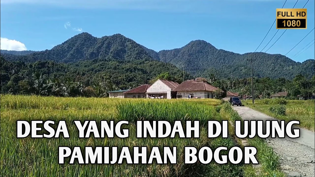 DESA CIBUNIAN INI BIKIN BETAH DAN POKOKNYA GAK MAU PULANG, PAMIJAHAN ...