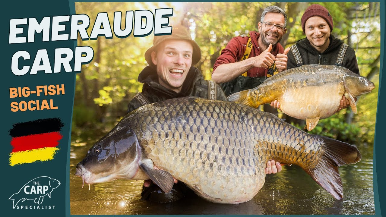 🎉 Nieuw PR voor Vincent 🎉 Dikke 32kg+ schubkarper 🐳 vanaf Emeraude Carp ...