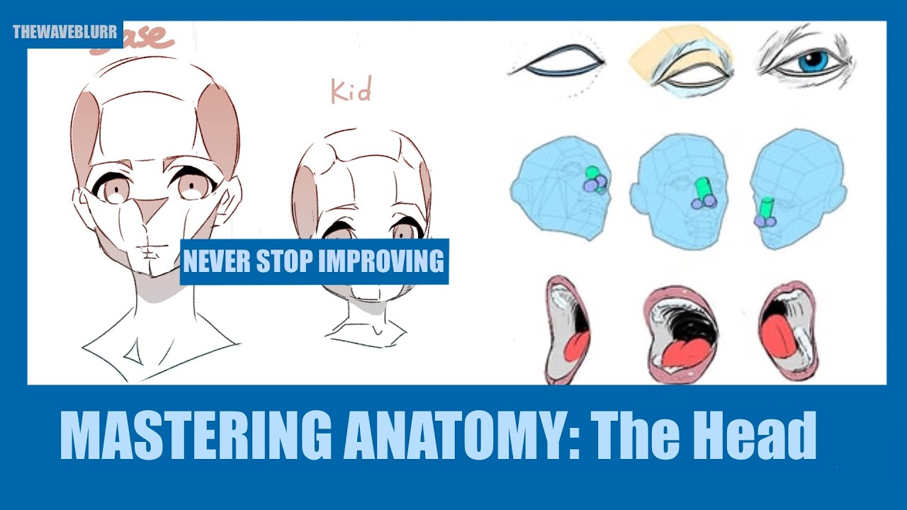 Mastering Anatomy of the Head - YouTube