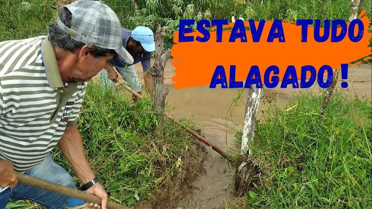 Consiste Em Escoar A água Do Solo Encharcado - RETOEDU