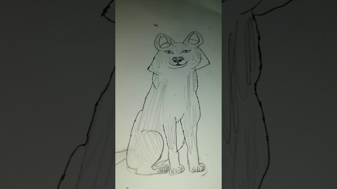How to draw the Dhole - YouTube