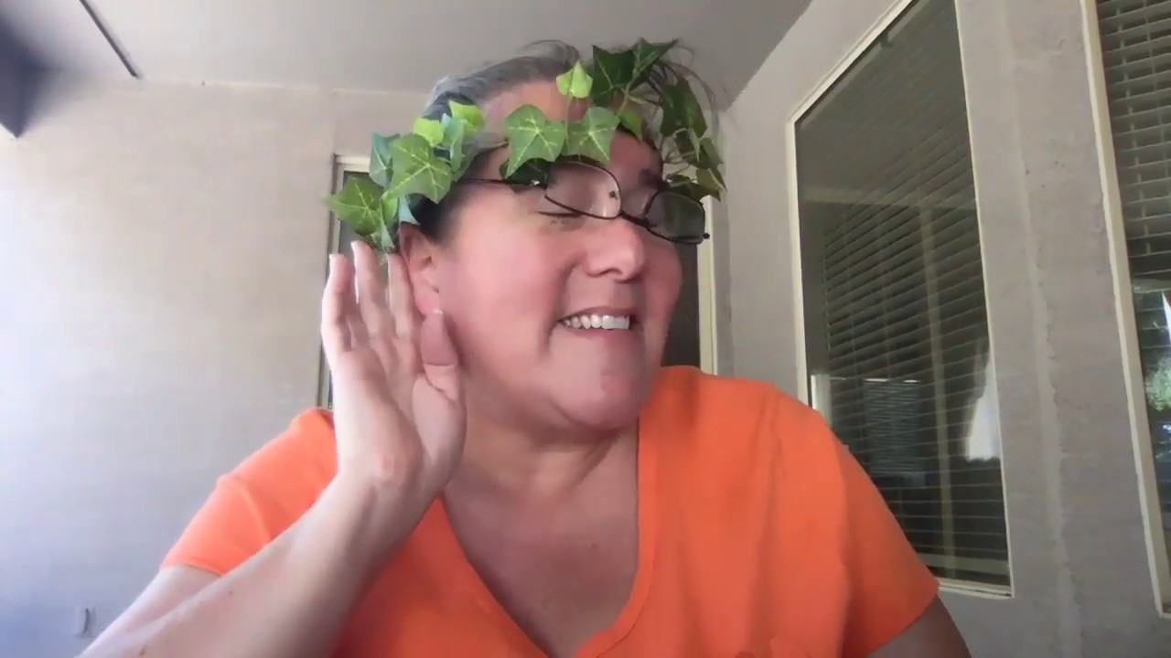 Mrs. Berenter reads Miss Suki is Kooky-Chapter 1 - YouTube