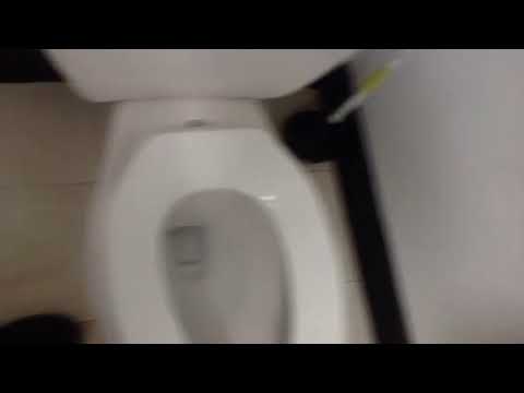 Dollar tree restroom full shoot - YouTube