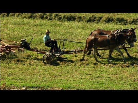 Pennsylvania's Amish Country