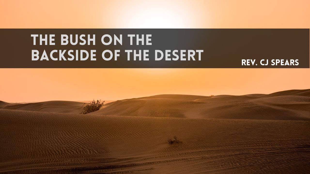 The Bush on the Backside of the Desert - YouTube