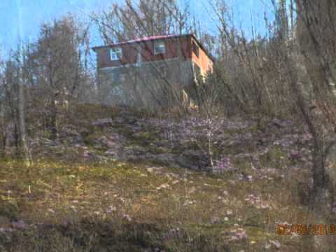 gülüm