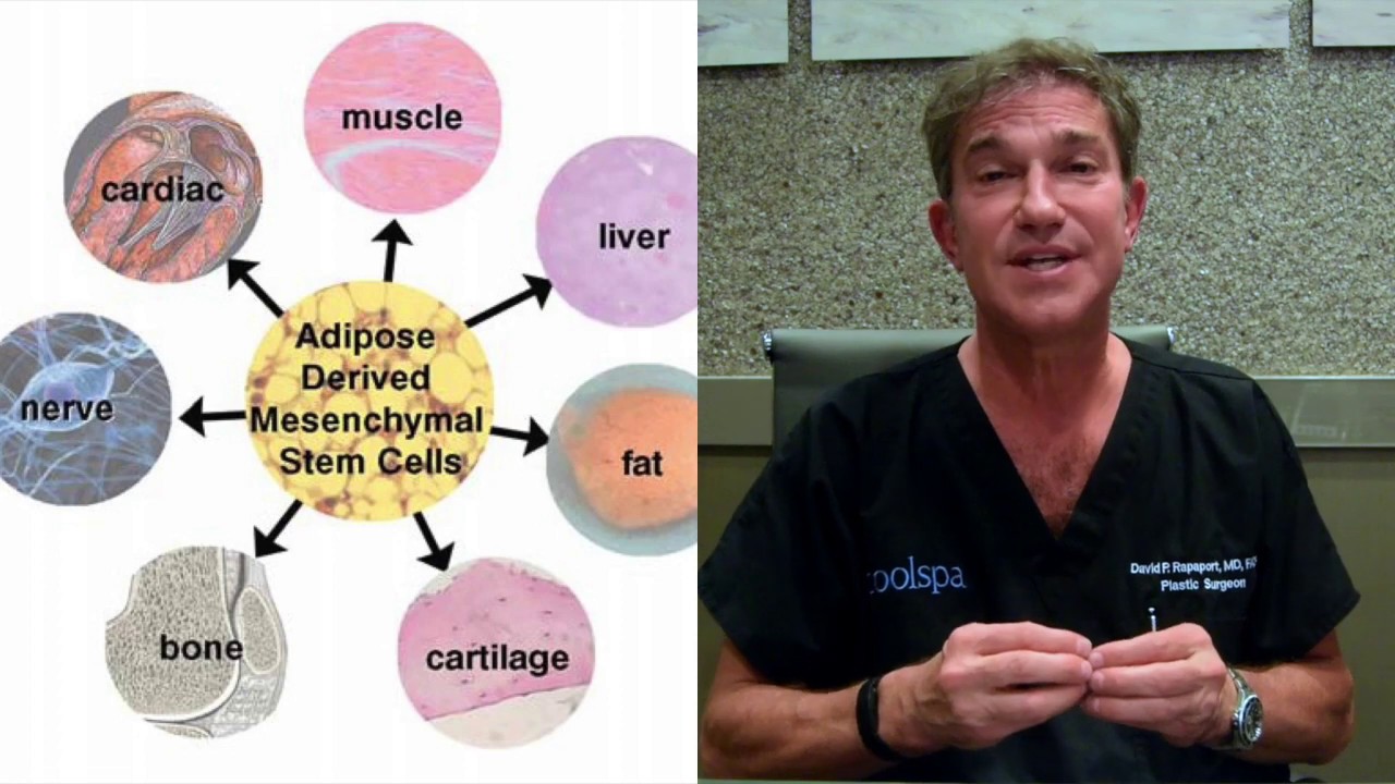 Techniques and Technologies in Liposuction | Dr. David P. Rapaport NYC ...