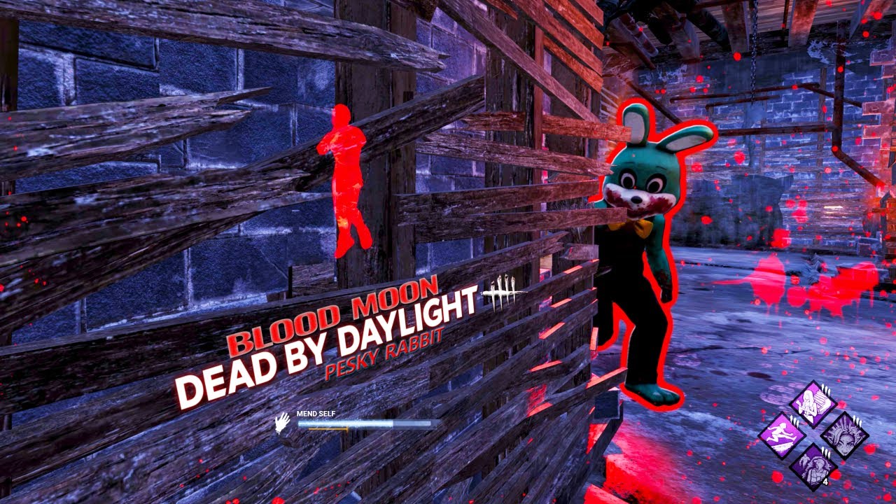 DBD | BM | EP 575 | Pesky Rabbit - YouTube
